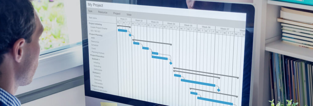 What Do Information Technology Managers Do? - University of Wisconsin